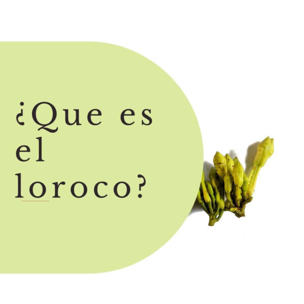 ¿Qué es el Loroco? Guía nutricional de esta deliciosa flor - Nutrition ...