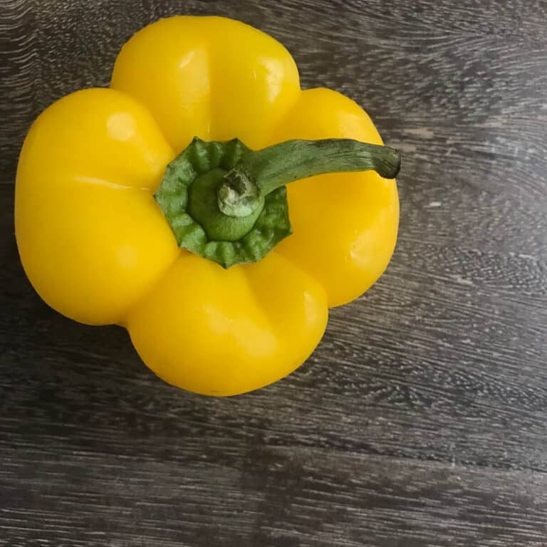 Your Guide to 28 Mexican Vegetables (Nutrition & Recipes)