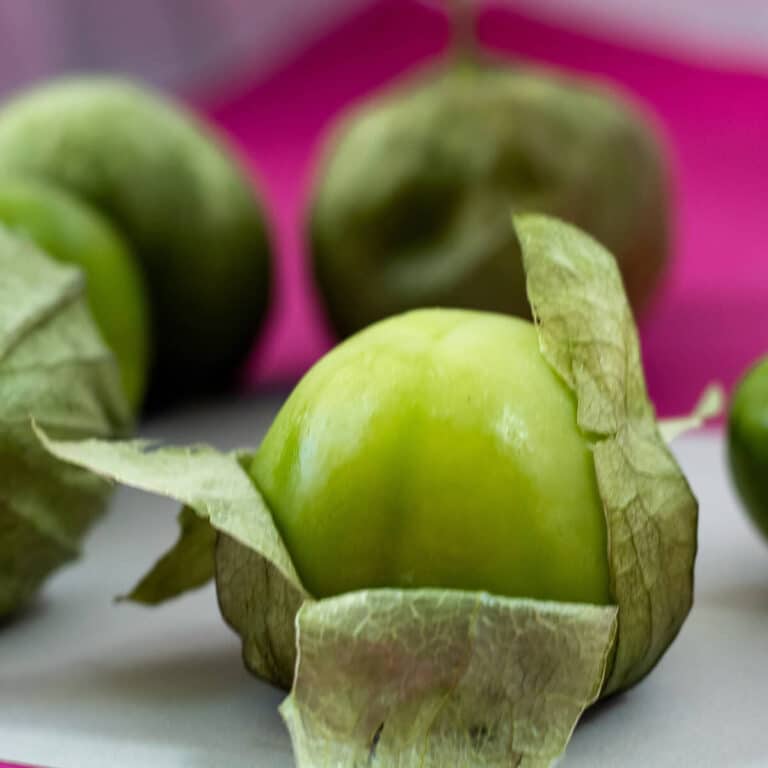 Your Guide to 28 Mexican Vegetables (Nutrition & Recipes)